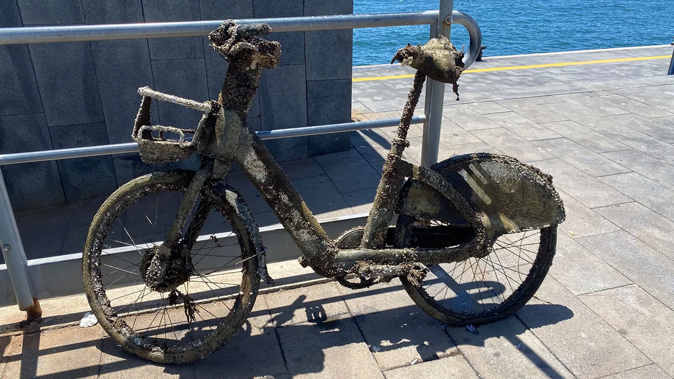 Torre del Greco, recuperata dal mare una e-bike scomparsa: sorpresa ...
